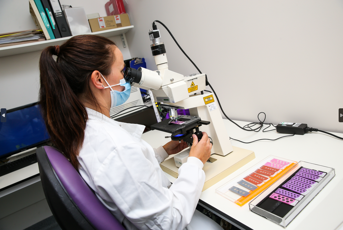 Pathology | University Hospitals of North Midlands